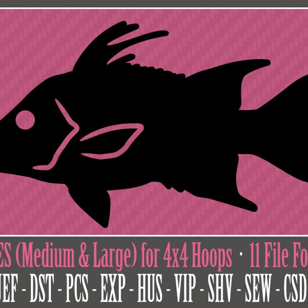 Hogfish - Etsy