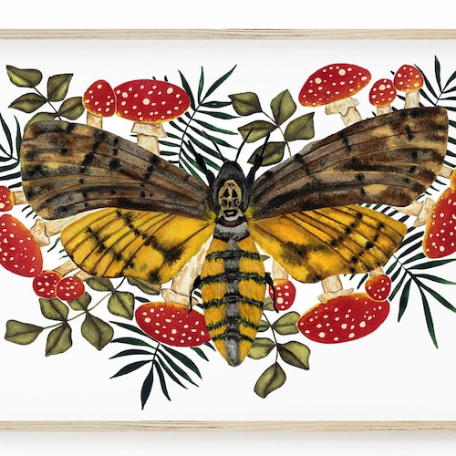 Omen 5 X 7 Art Print Deaths Head Moth Spider Web Surreal - Etsy