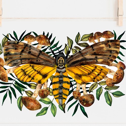 Death's-head Moth Art Print - Etsy