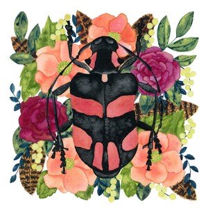 Insect Card, Entomology, Bug Card, Insect Taxidermy - Etsy