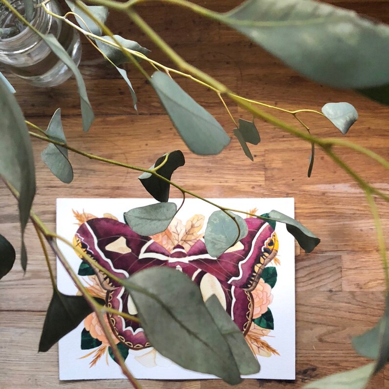 Moth Print of Watercolor Painting, Atlas Moth - Etsy