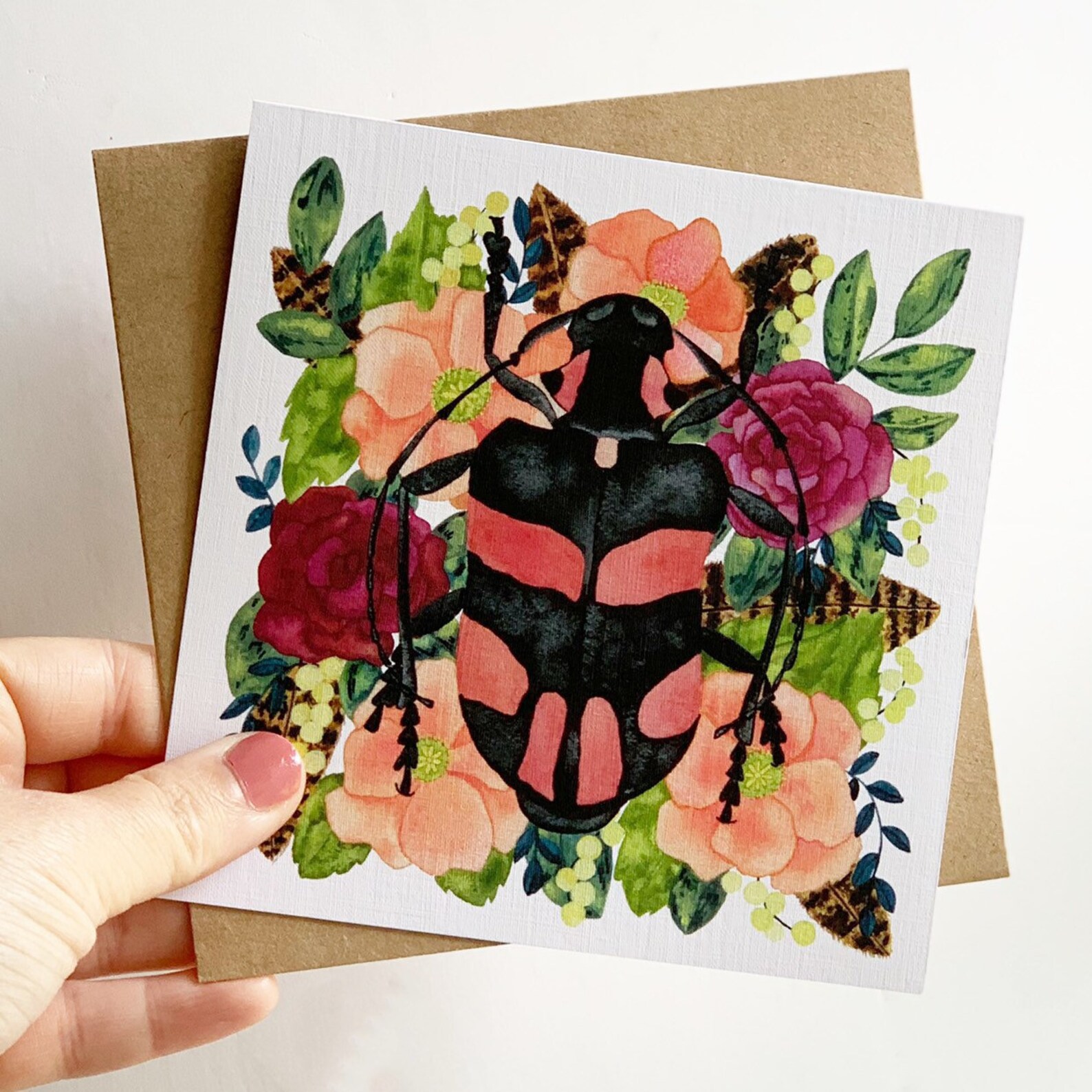 Insect Card Entomology Bug Card Insect Taxidermy | Etsy