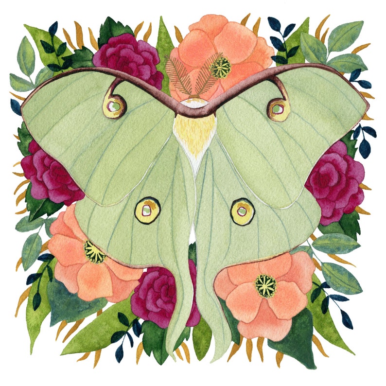 Luna Moth Greeting Card or Lunar Moth Card of Moth Art | Etsy