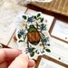 June Bug Beetle Sticker or Insect Sticker | Etsy