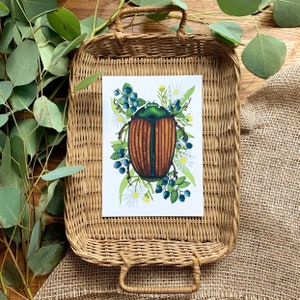 June Bug Insect Print of Original Watercolor Painting, Entomology Art ...