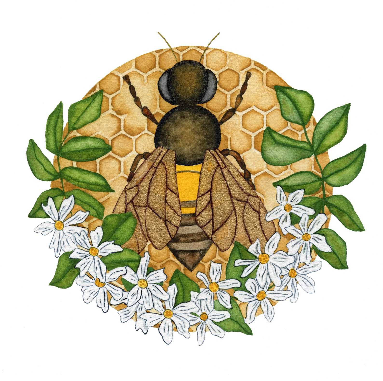 Bee Note Cards or Stationery Blank Set - Etsy