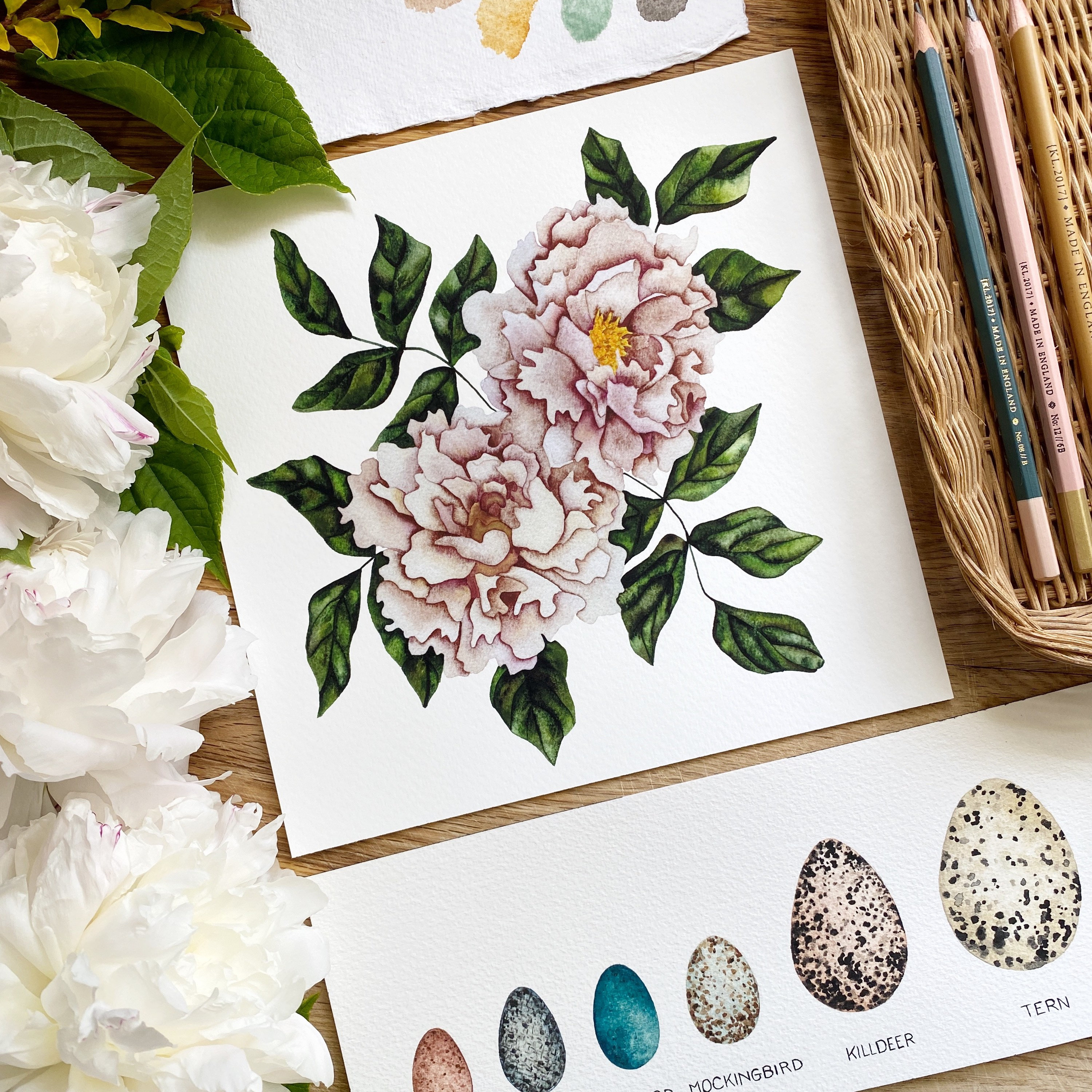 Bird Artwork of Antique Egg Print, Picture - Etsy