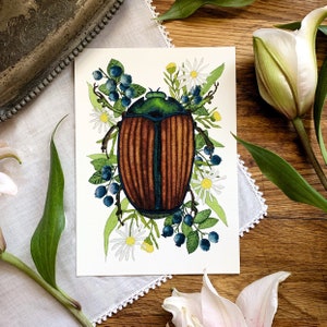 June Bug Insect Print of Original Watercolor Painting, Entomology Art ...