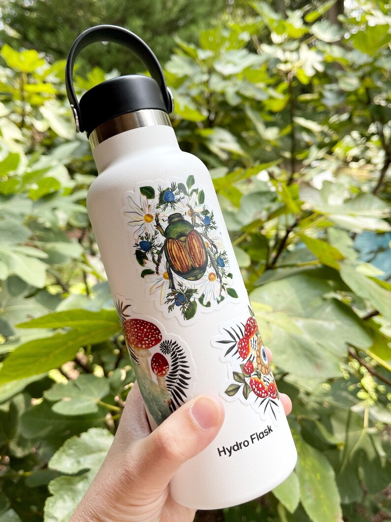 June Bug Beetle Sticker or Insect Sticker | Etsy