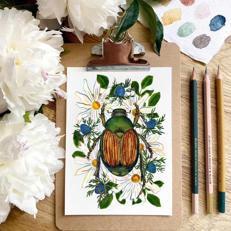June Bug Beetle Art Print, Insect Taxidermy - Etsy