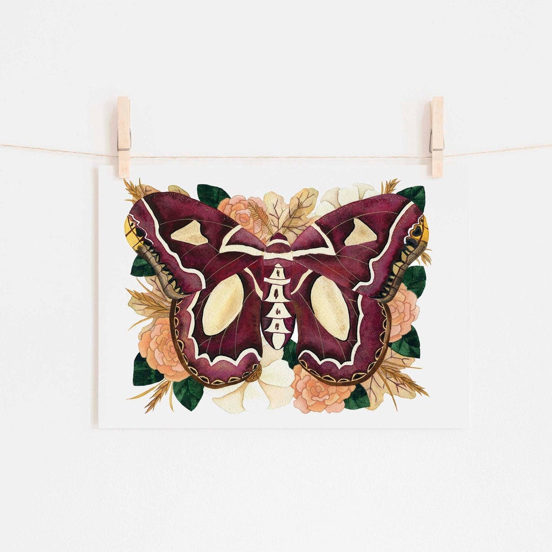 Moth Print of Watercolor Painting, Atlas Moth - Etsy