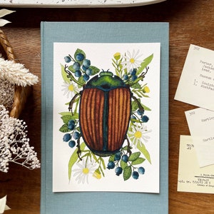 June Bug Insect Print of Original Watercolor Painting, Entomology Art ...