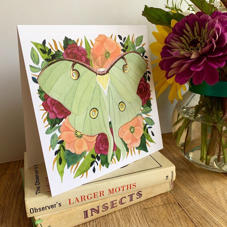 Luna Moth Greeting Card or Lunar Moth Card of Moth Art | Etsy