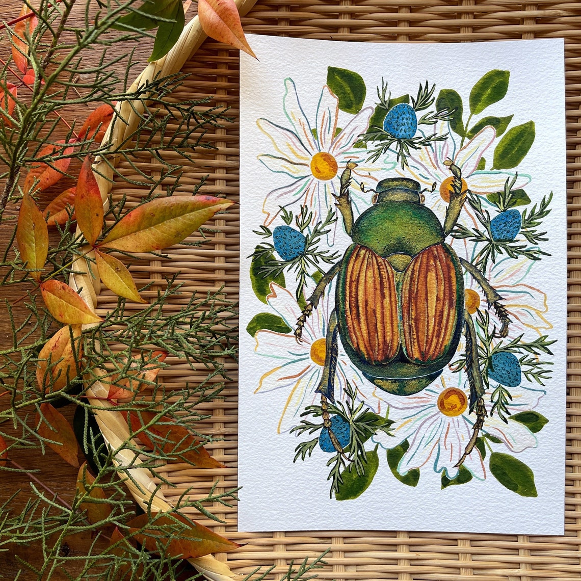 June Bug Beetle Art Print Insect Taxidermy - Etsy