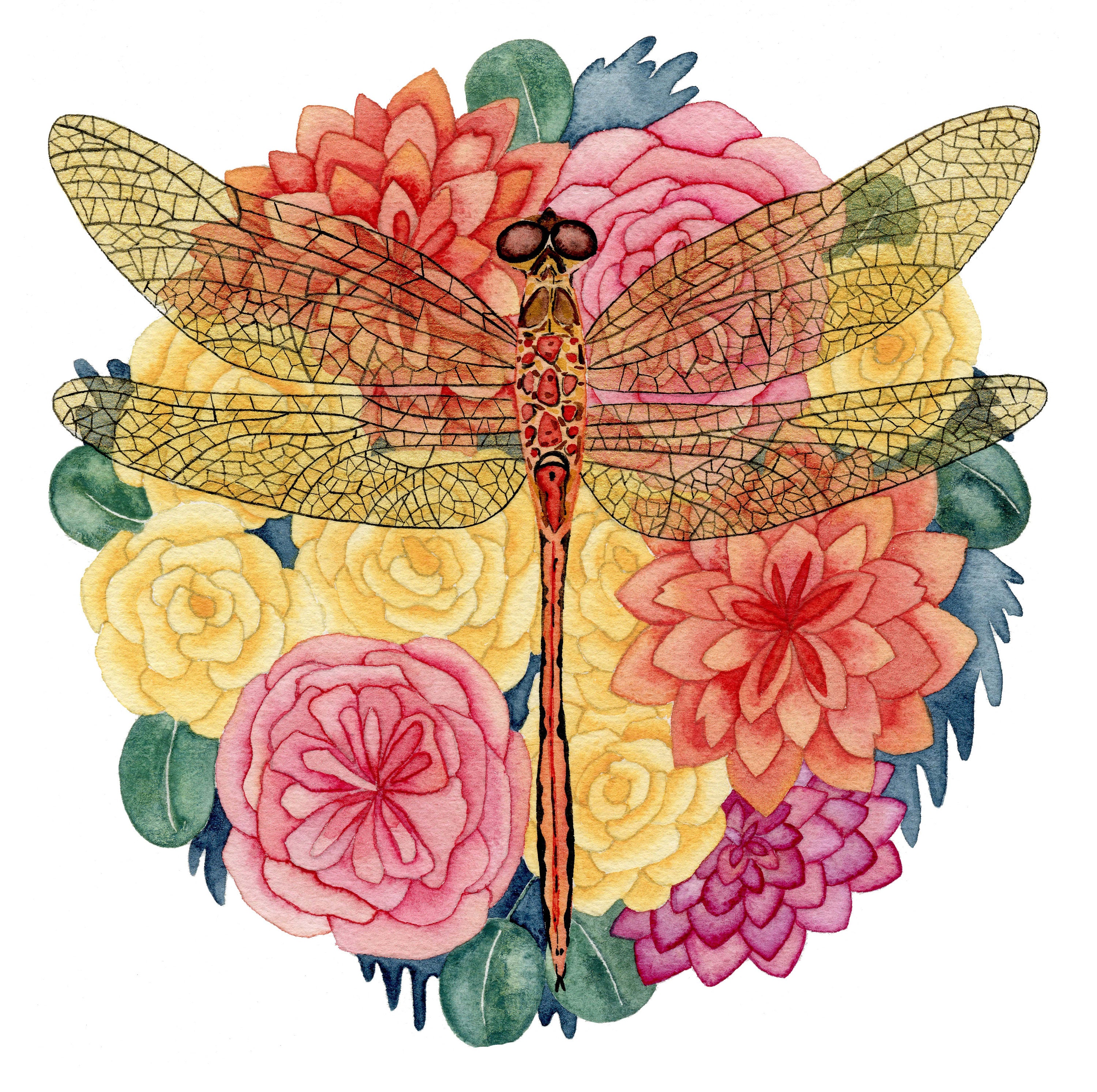 Watercolor Bee, Dragonfly & Luna Moth Card Set - Etsy
