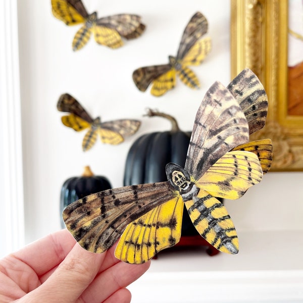 Moth Sculpture - Etsy