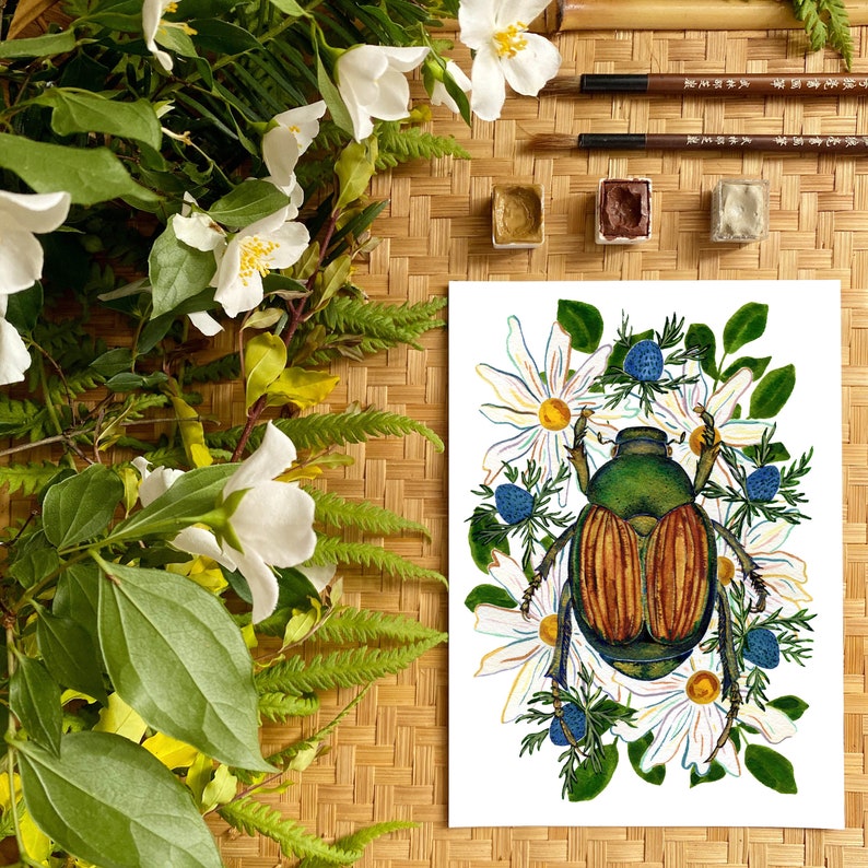 June Bug Beetle Art Print, Insect Taxidermy - Etsy