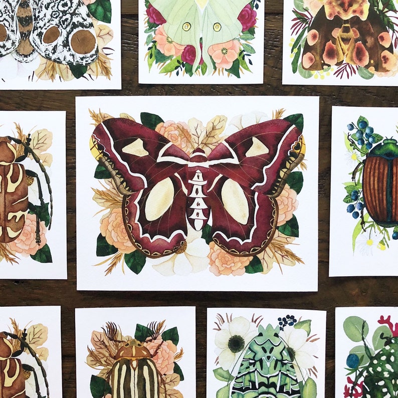 Moth Print of Watercolor Painting, Atlas Moth - Etsy