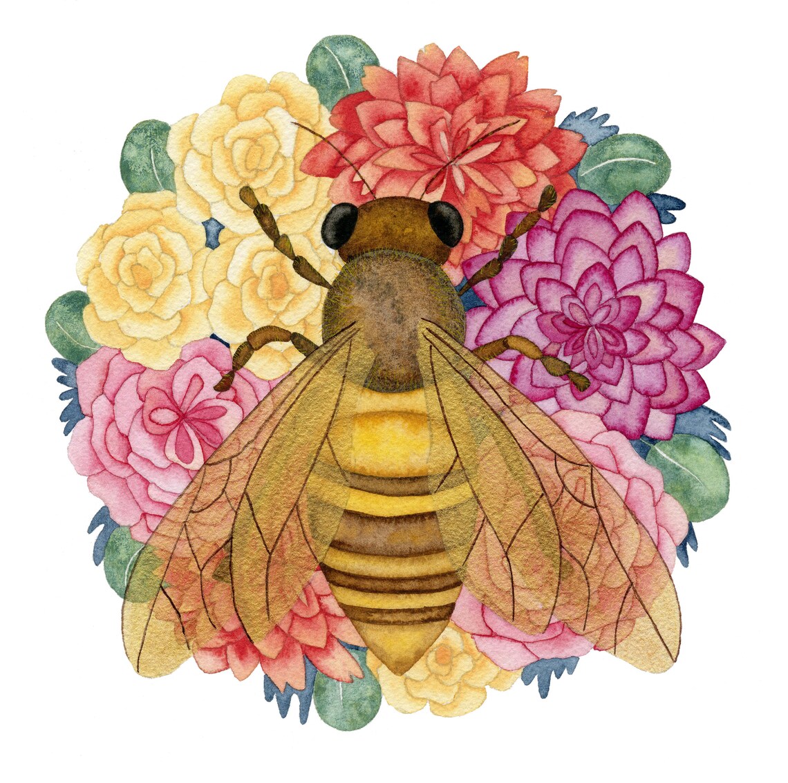 Watercolor Bee, Dragonfly & Luna Moth Card Set - Etsy