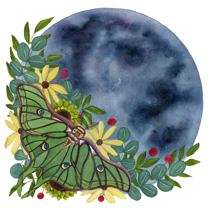 Moth Greeting Card of Luna Moth or Lunar Moth Card With Moon - Etsy