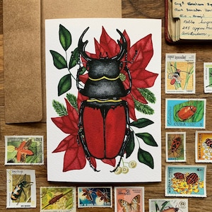 Insect Card, Entomology, Unusual Gift for Naturalist - Etsy