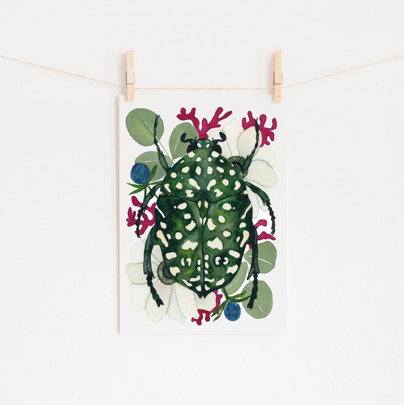 Insect Art Print, Insect Taxidermy, Entomology, Beetle Boho Wall Decor ...