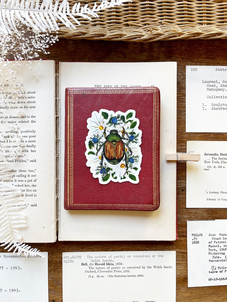 June Bug Beetle Sticker or Insect Sticker | Etsy
