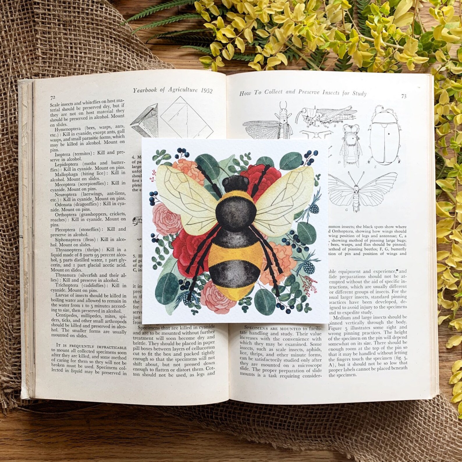 Bee Card or Honey Bee Note Cards for Bee Birthday Gift - Etsy