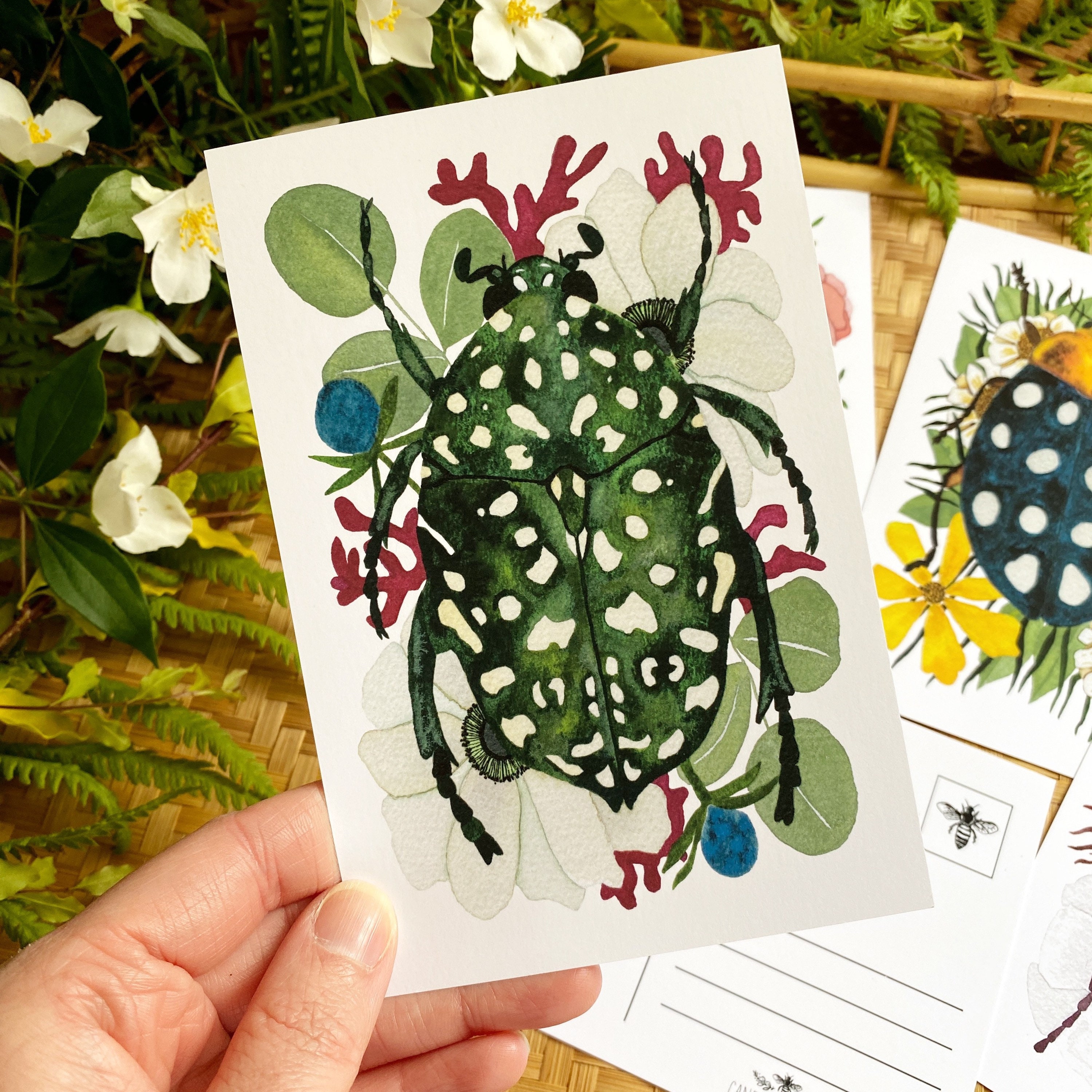 Nature Postcard Set With Insect Entomology - Etsy