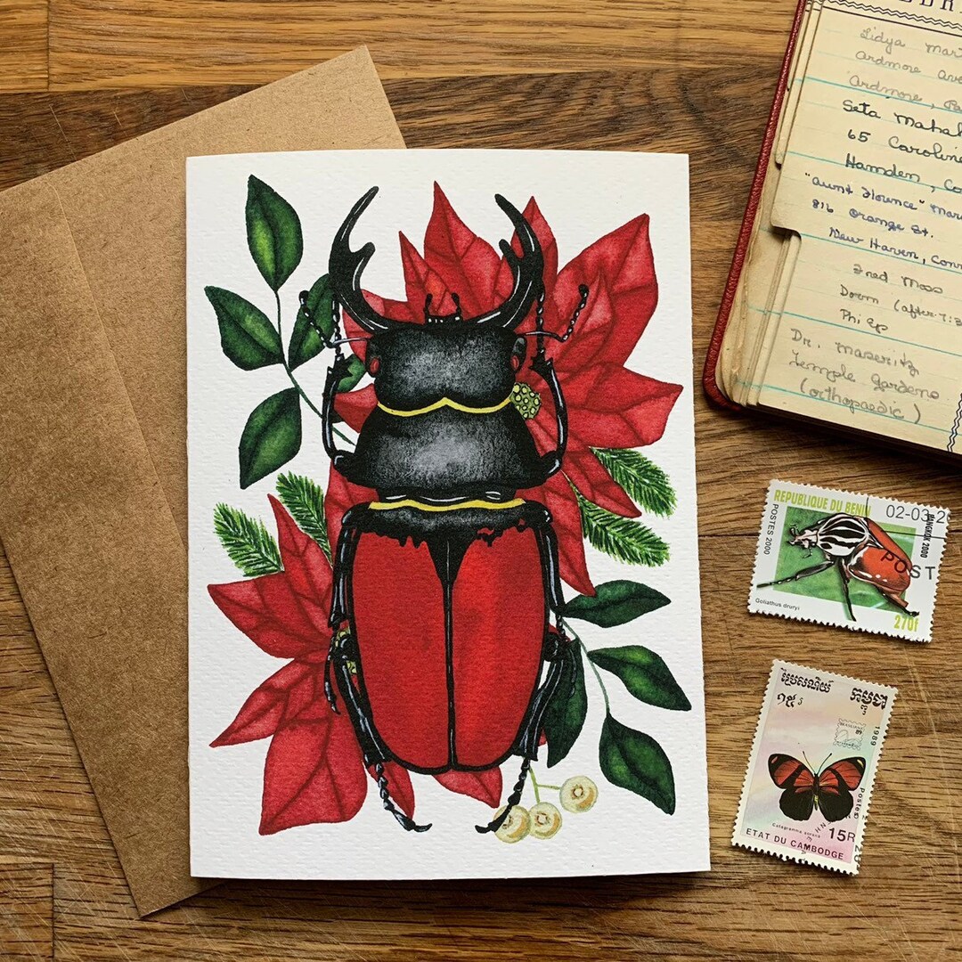 Insect Card, Entomology, Unusual Gift for Naturalist - Etsy
