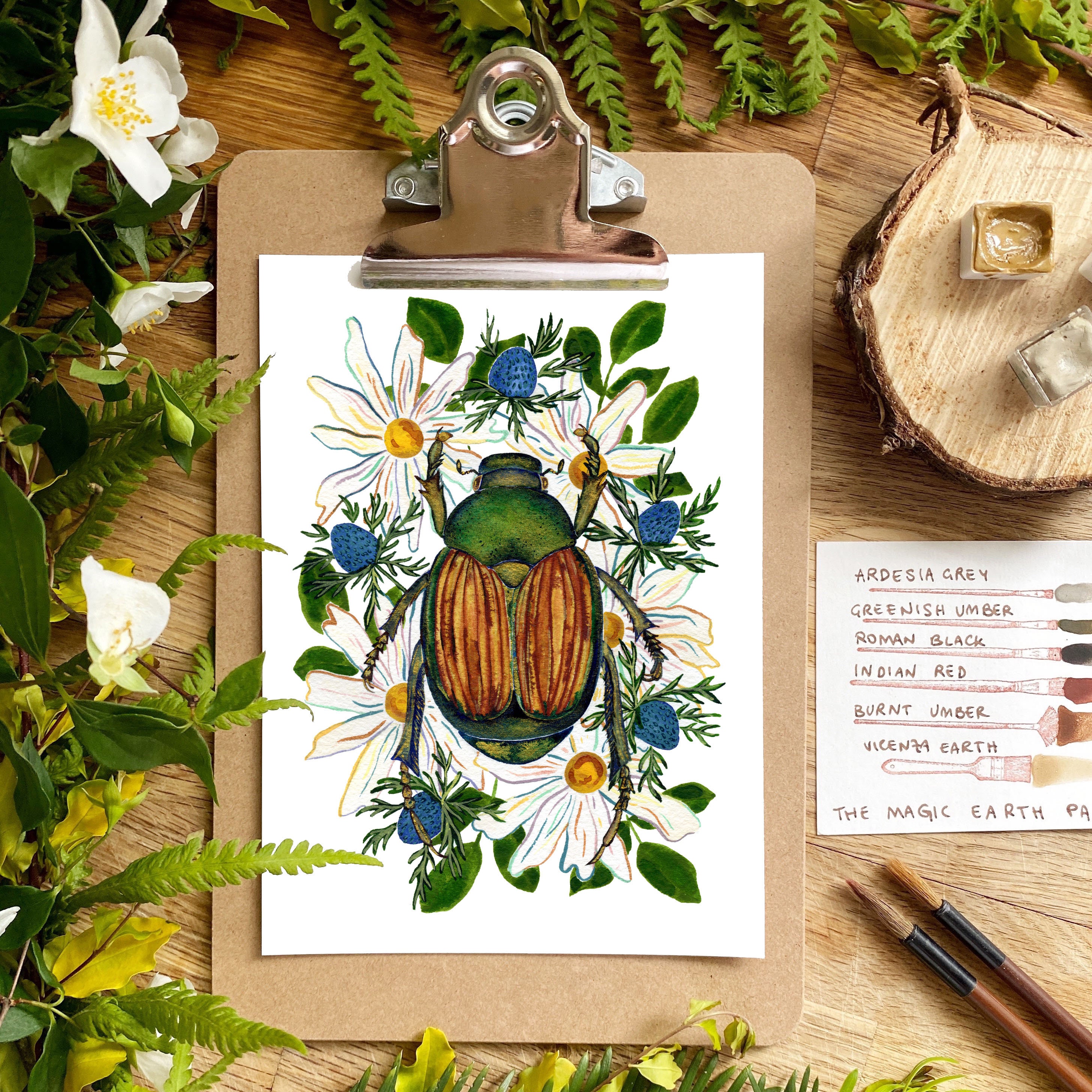 June Bug Beetle Art Print, Insect Taxidermy - Etsy