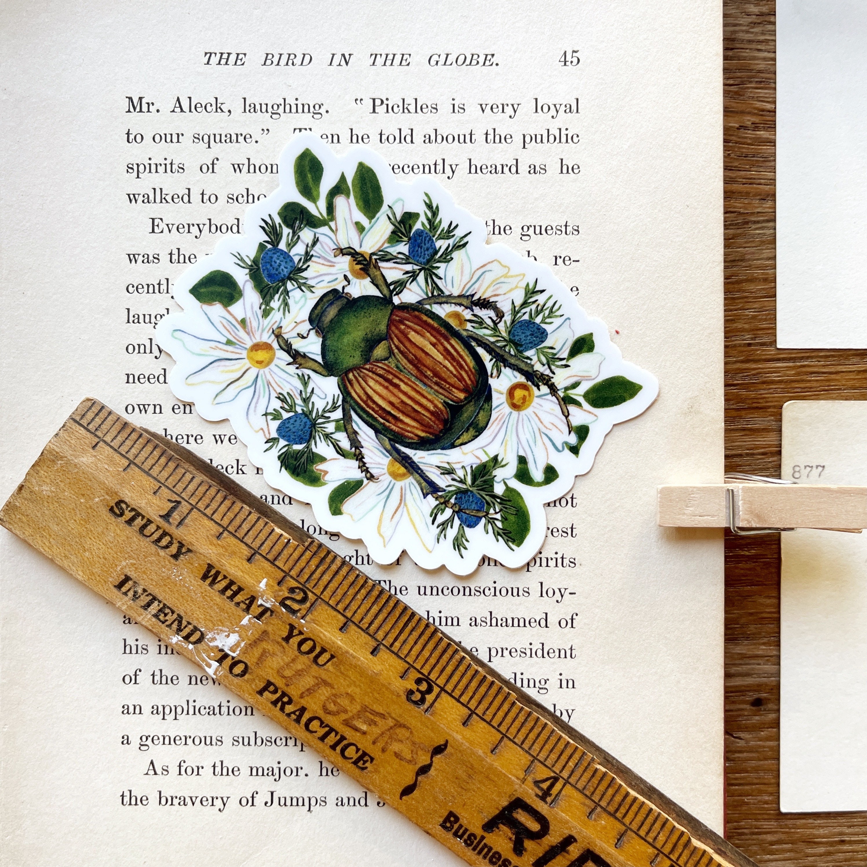 June Bug Beetle Sticker or Insect Sticker | Etsy