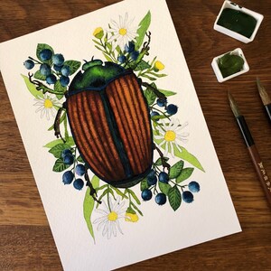 June Bug Insect Print of Original Watercolor Painting, Entomology Art ...