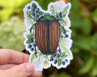 June Bug Shirt or Body Suit for Baby - Etsy