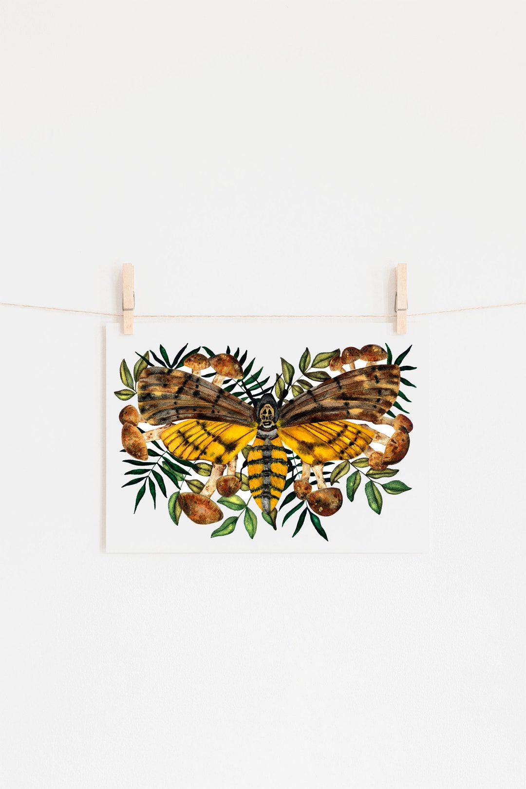 Deaths Head Moth Print for Mushroom Art Decor - Etsy