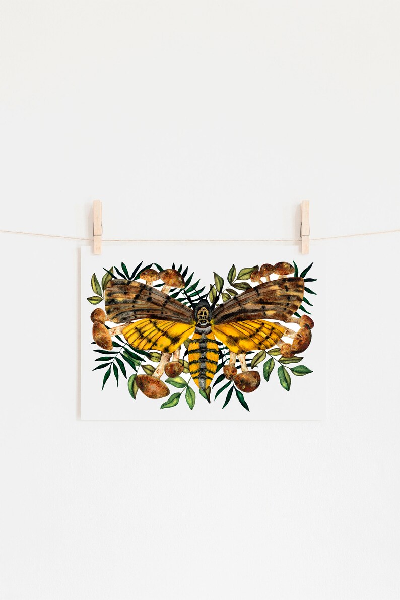 Deaths Head Moth Print for Mushroom Art Decor | Etsy