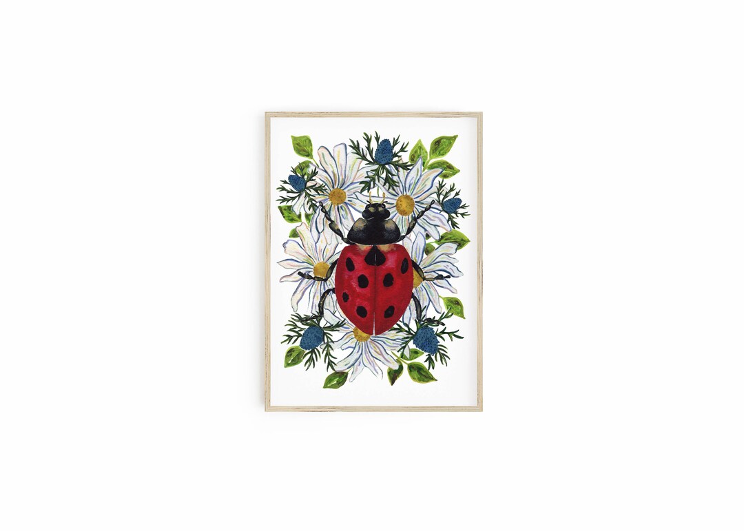 Ladybug Prints for Decor, Gifts Items, Kitchen - Etsy