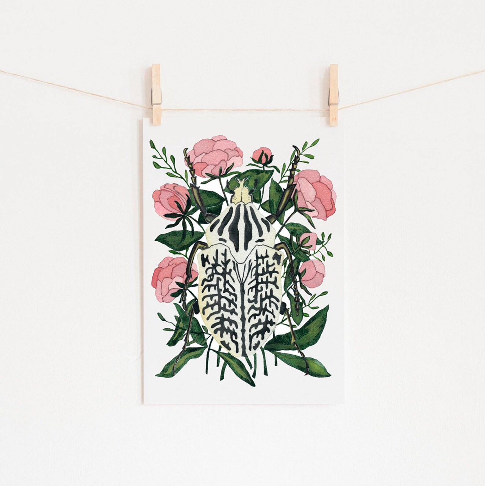 Insect Art Print Insect Taxidermy Entomology Beetle Boho | Etsy