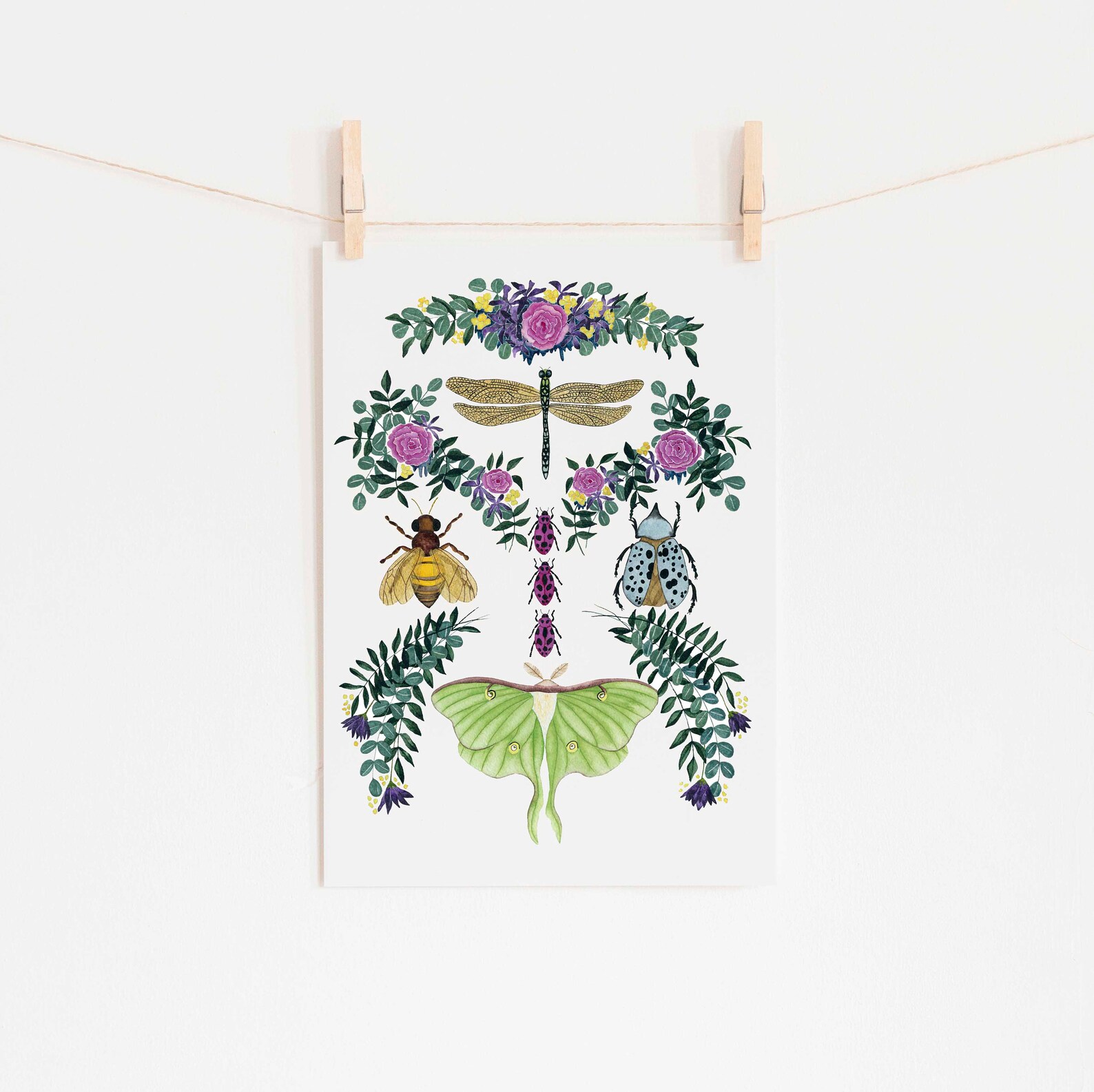 Insect Art Print Insect Taxidermy Entomology Beetle Boho - Etsy