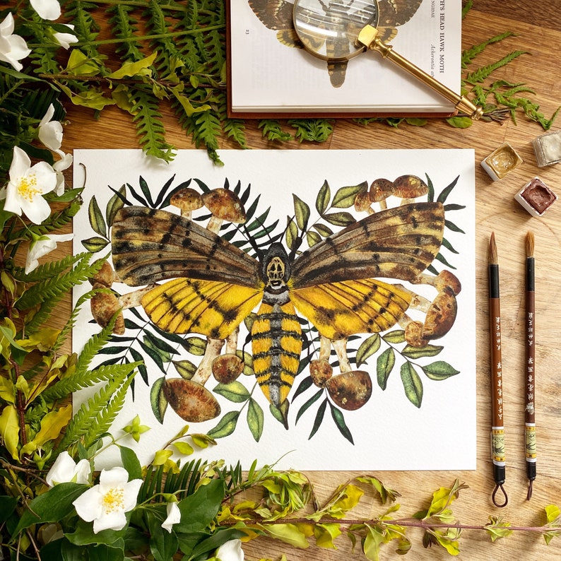 Deaths Head Moth Print for Mushroom Art Decor | Etsy