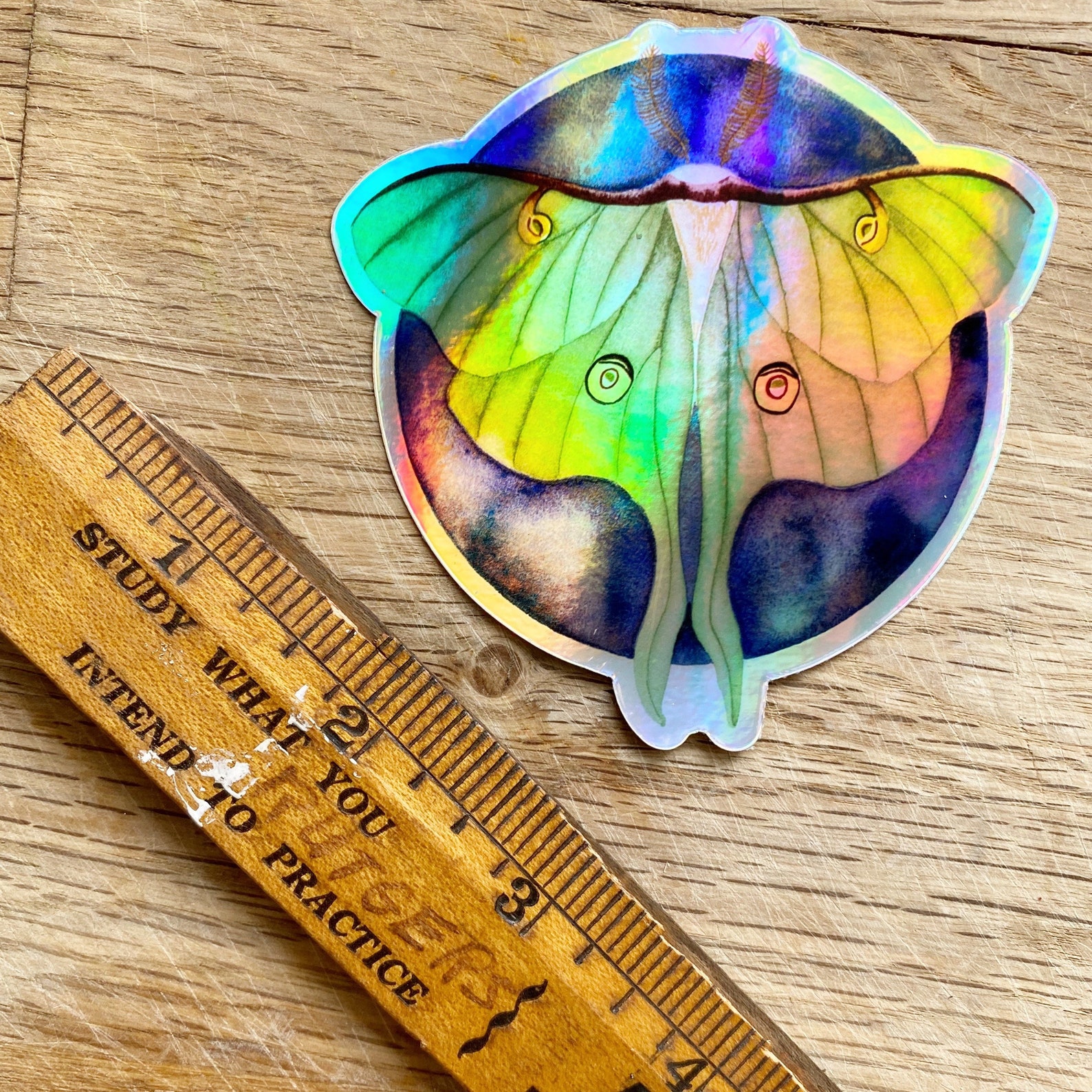 Moon Sticker with Luna Moth of Celestial Decal Holographic | Etsy