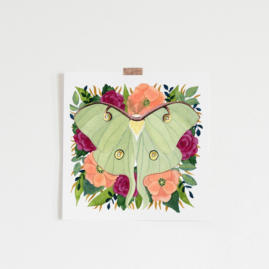 Luna Moth Print of Lunar Moth Painting for Lake House Decor, Art - Etsy
