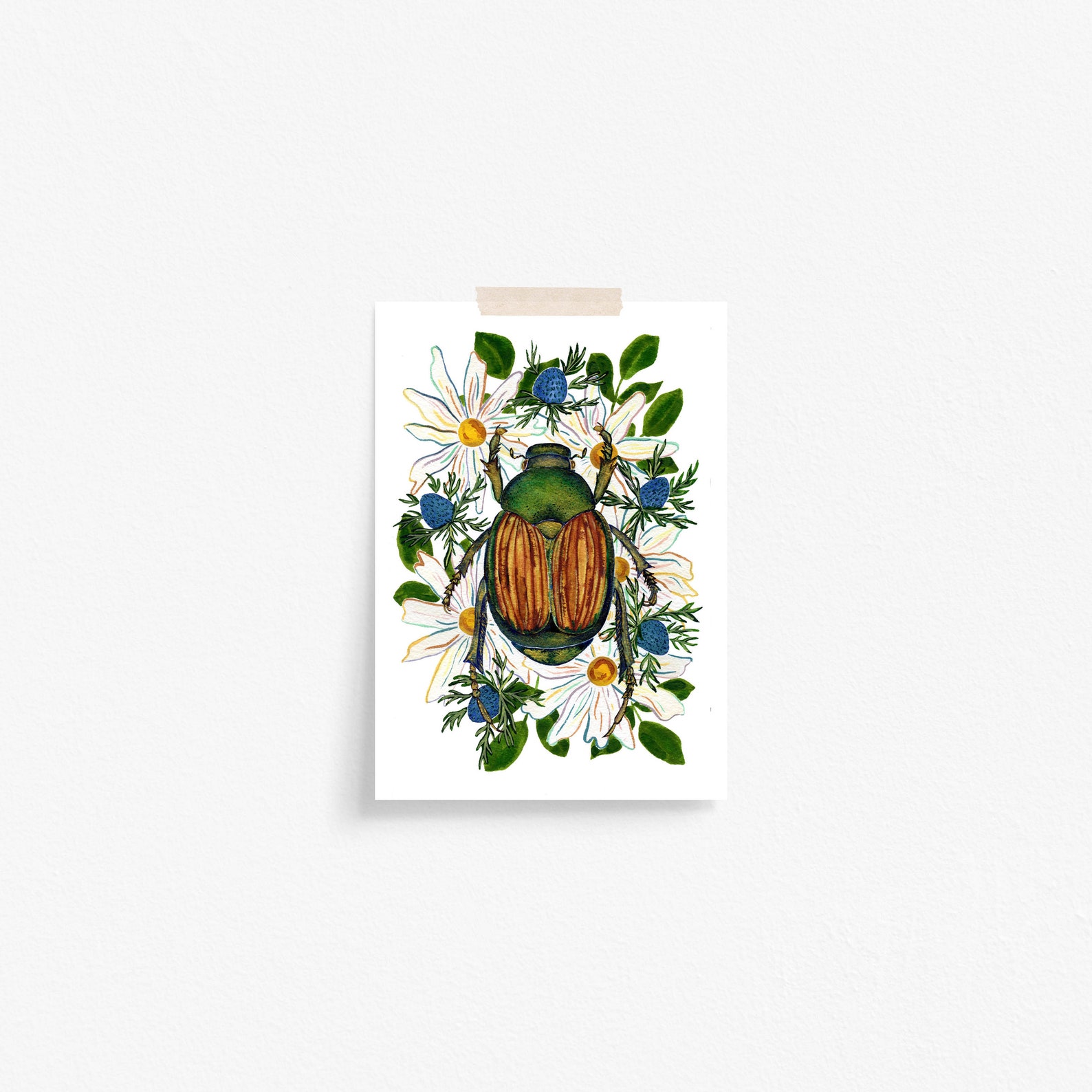 June Bug Beetle Art Print Insect Taxidermy - Etsy
