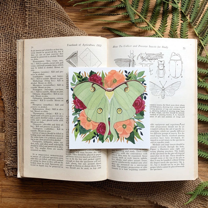 Luna Moth Greeting Card or Lunar Moth Card of Moth Art | Etsy