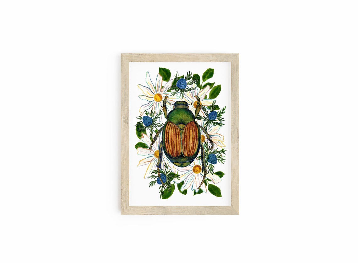June Bug Beetle Art Print Insect Taxidermy - Etsy