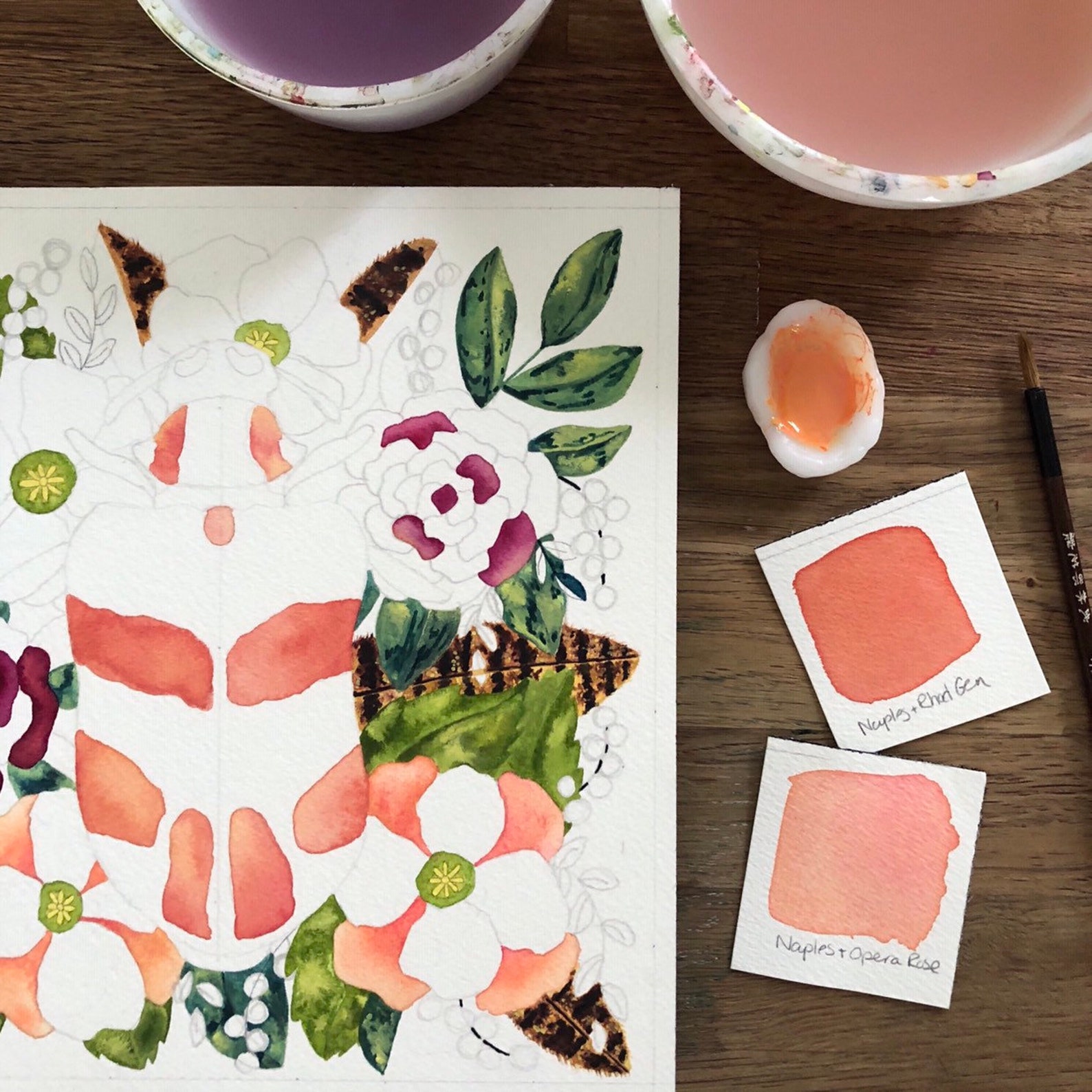 Insect Card Entomology Bug Card Insect Taxidermy | Etsy