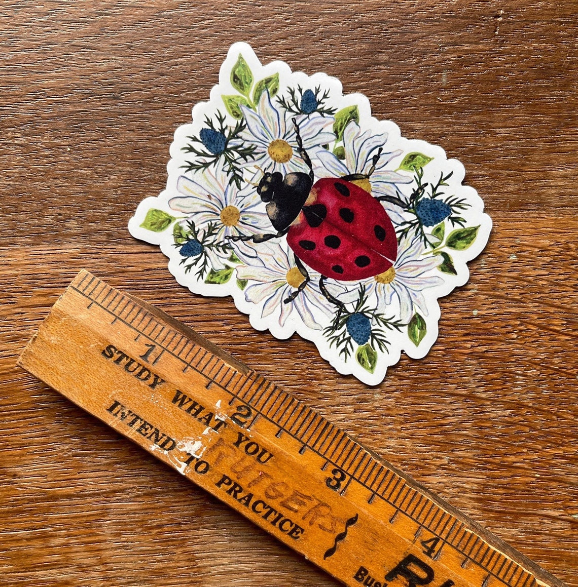 Ladybug Magnet for Dishwasher or Kitchen - Etsy