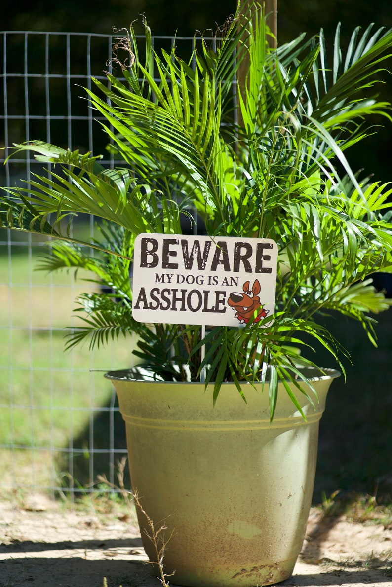 Funny Dog Sign, Beware of Dog Sign, Steel Beware of Dog Sign, Beware of ...
