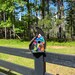 BIRDHOUSE, Funky Birdhouse, Mushroom Birdhouse, Unique Birdhouse, Large ...