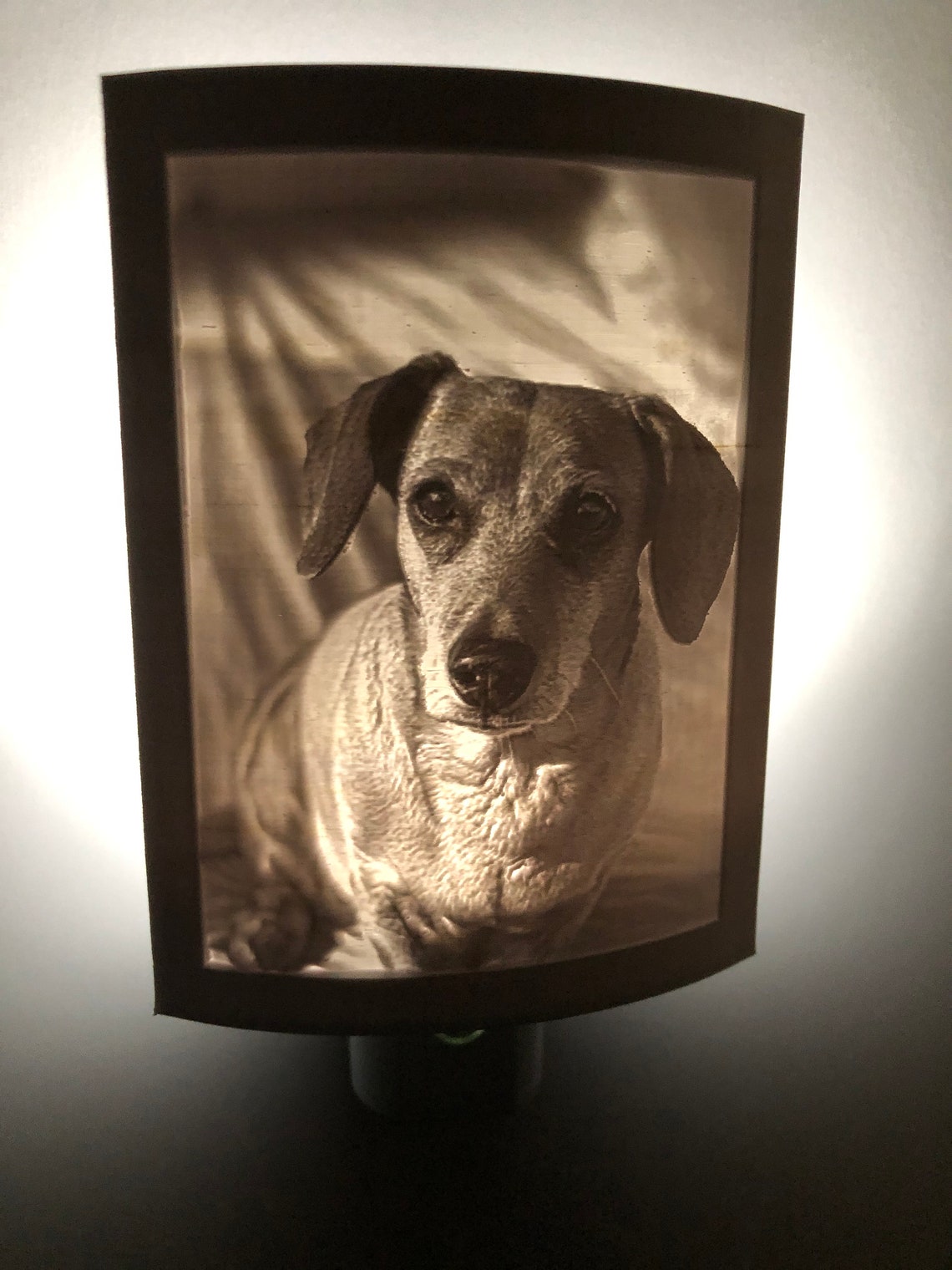 Pet Night Light Pet Memorial Custom 3d Printed Lithophane Pet - Etsy